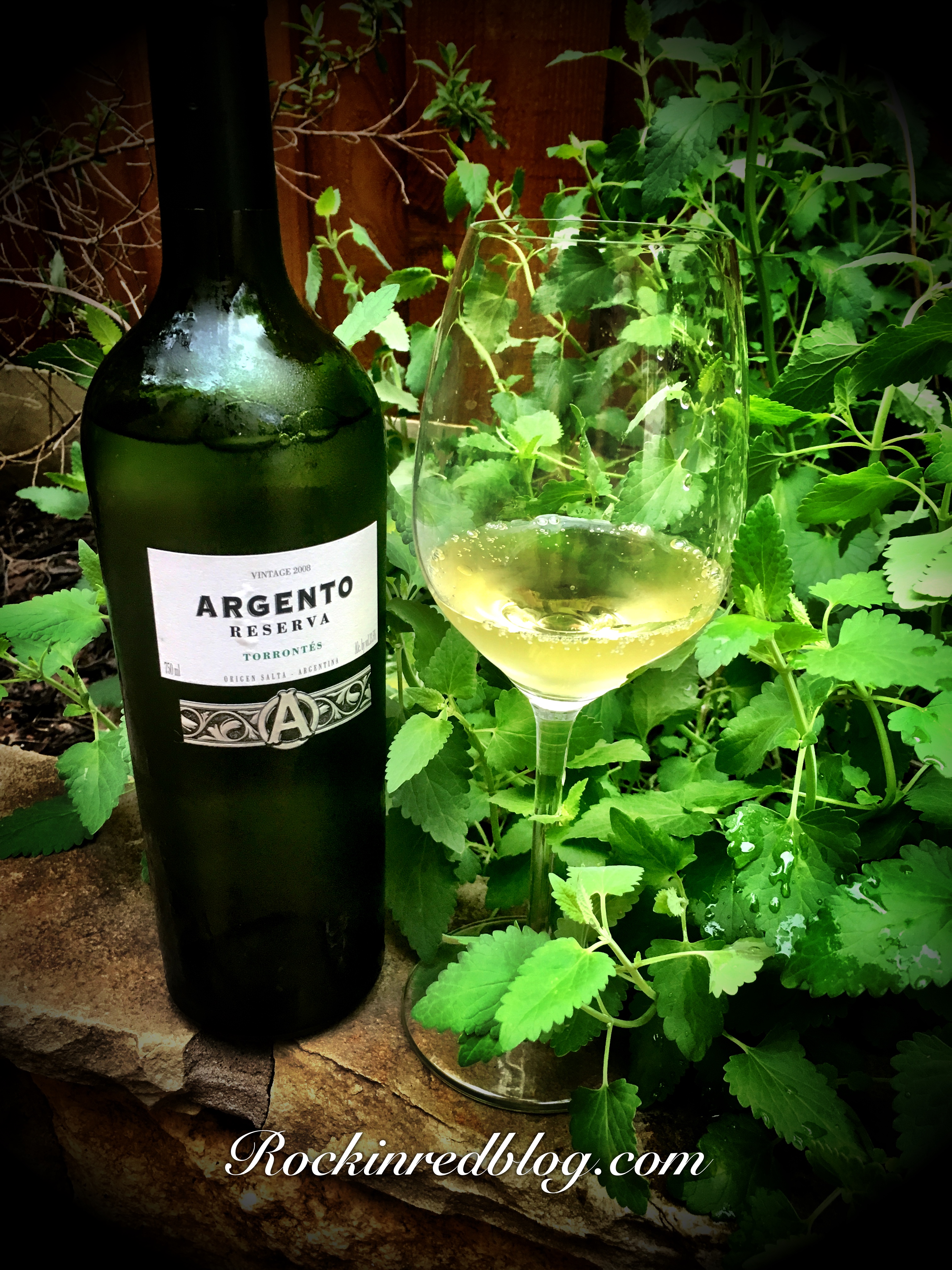 Exploring Enchilada & #Wine Pairings with #WinePW – ROCKIN RED BLOG