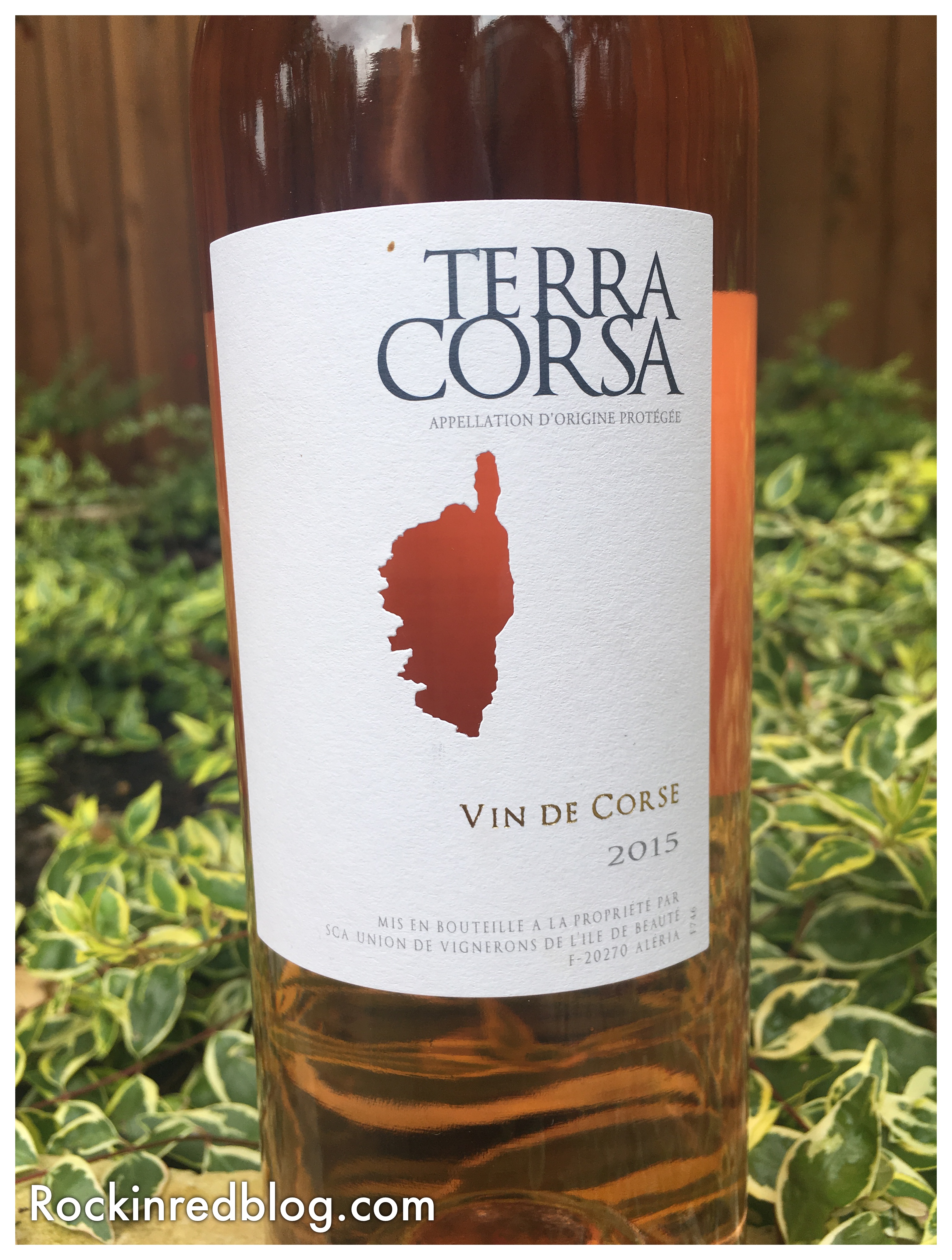 Kicking Off Summer with National Rosé Day – ROCKIN RED BLOG