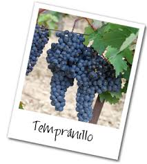 Who’s Ready for International Tempranillo Day? – ROCKIN RED BLOG