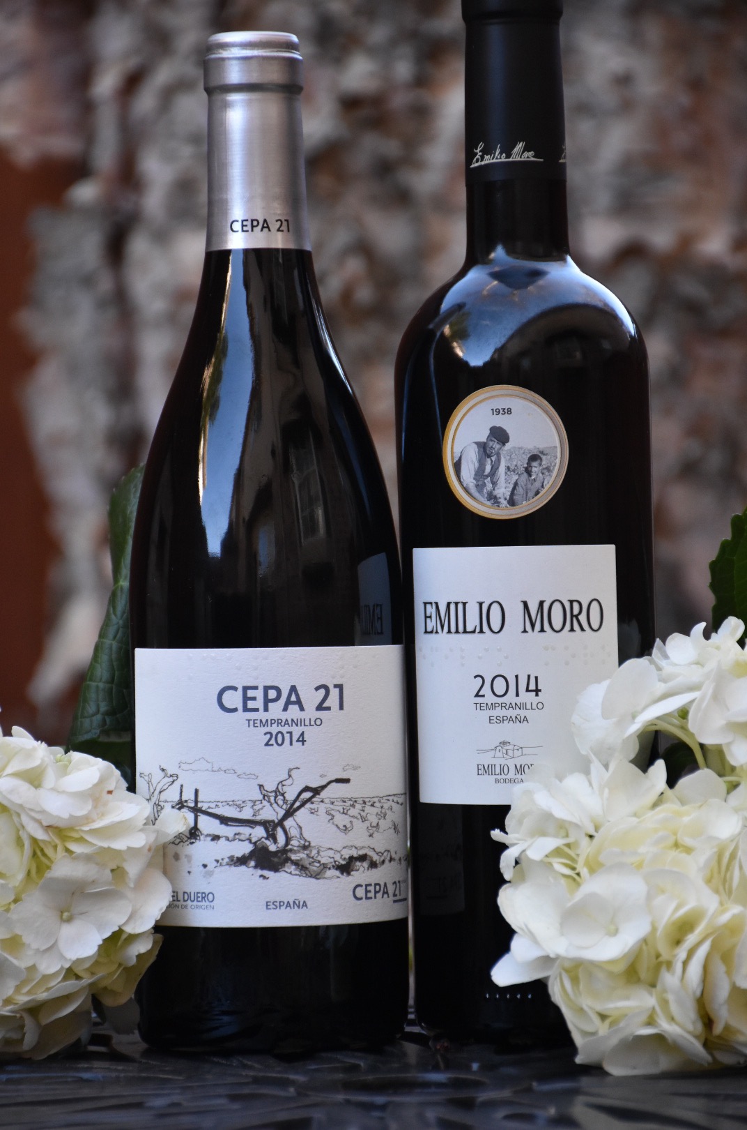 Moro Family Wineries: Allowing the Terroir to Speak – ROCKIN RED BLOG