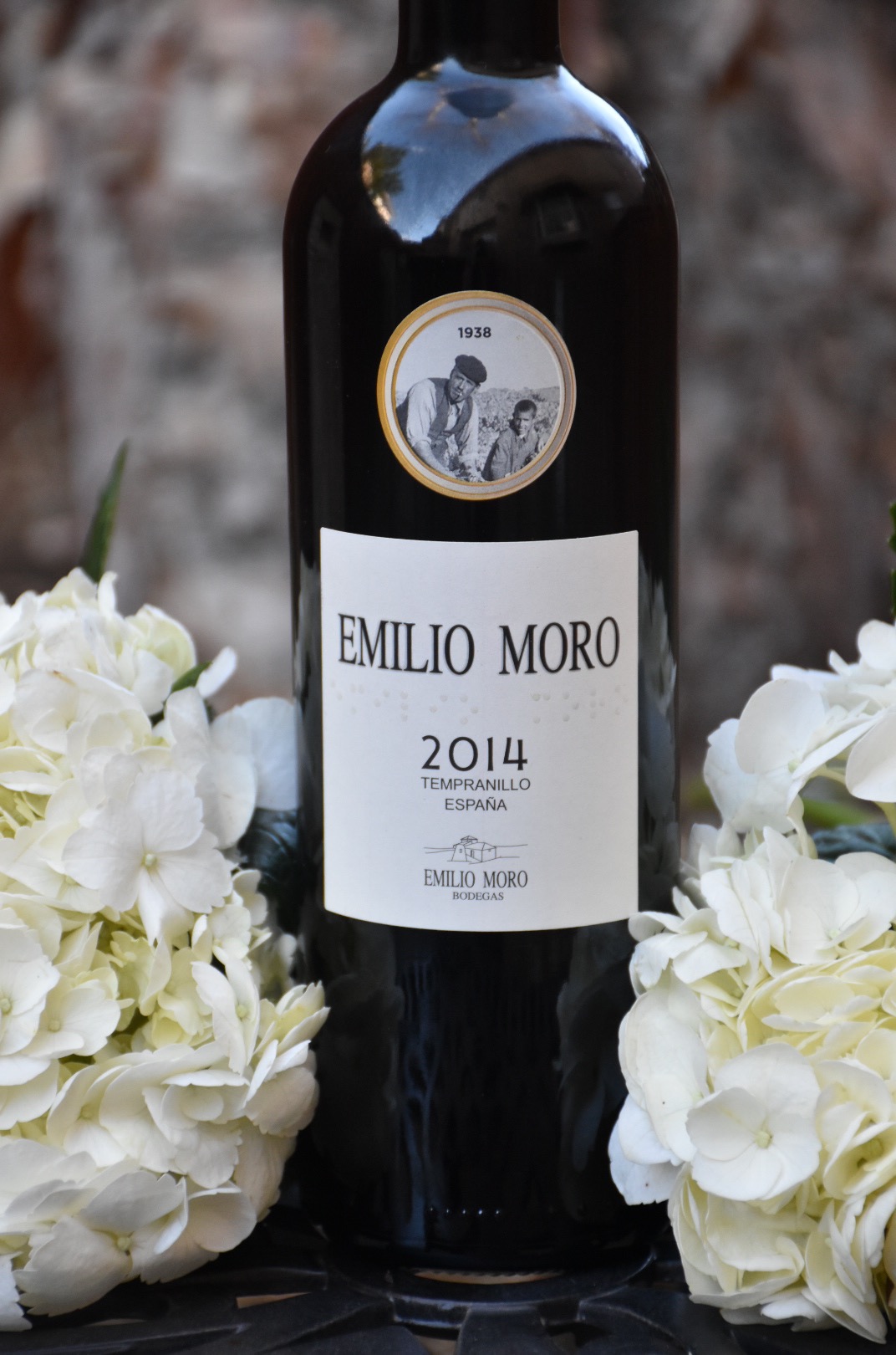 Moro Family Wineries: Allowing the Terroir to Speak – ROCKIN RED BLOG