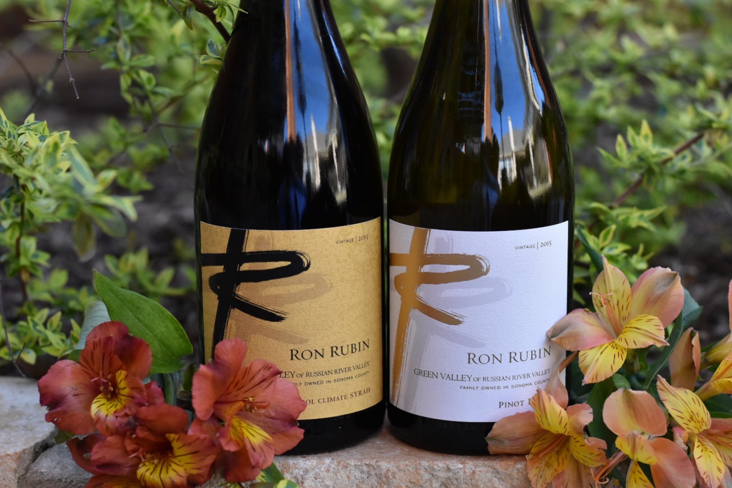Ron Rubin Wines: Striking a Balance of Passion and Precision – ROCKIN ...