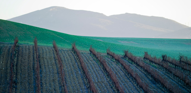 Get to Know Spain’s Navarra DO – ROCKIN RED BLOG