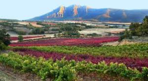 Get to Know Spain’s Navarra DO – ROCKIN RED BLOG