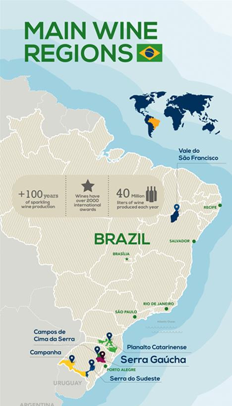 A New World Discovery: Wines of Brazil – ROCKIN RED BLOG