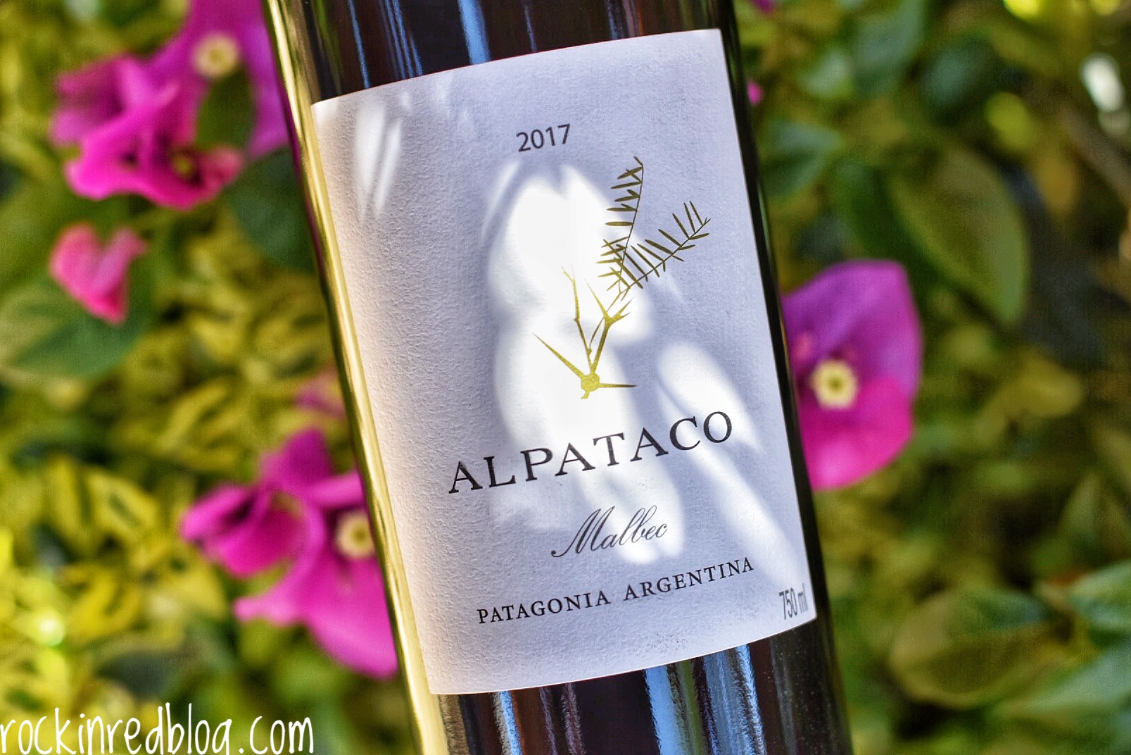 How Will You Celebrate Malbec World Day? – ROCKIN RED BLOG
