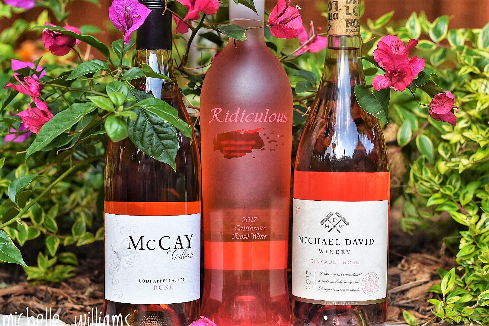 Lodi Says Yes Way Rosé – ROCKIN RED BLOG
